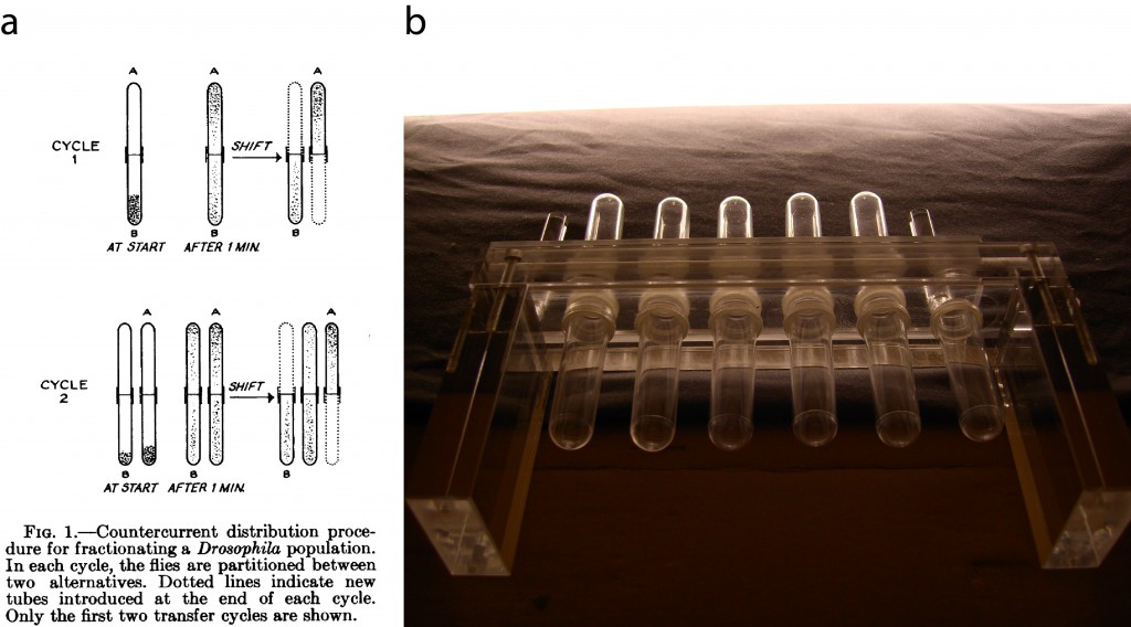The Benzer counter-current apparatus | .:lab.brembs.net:.